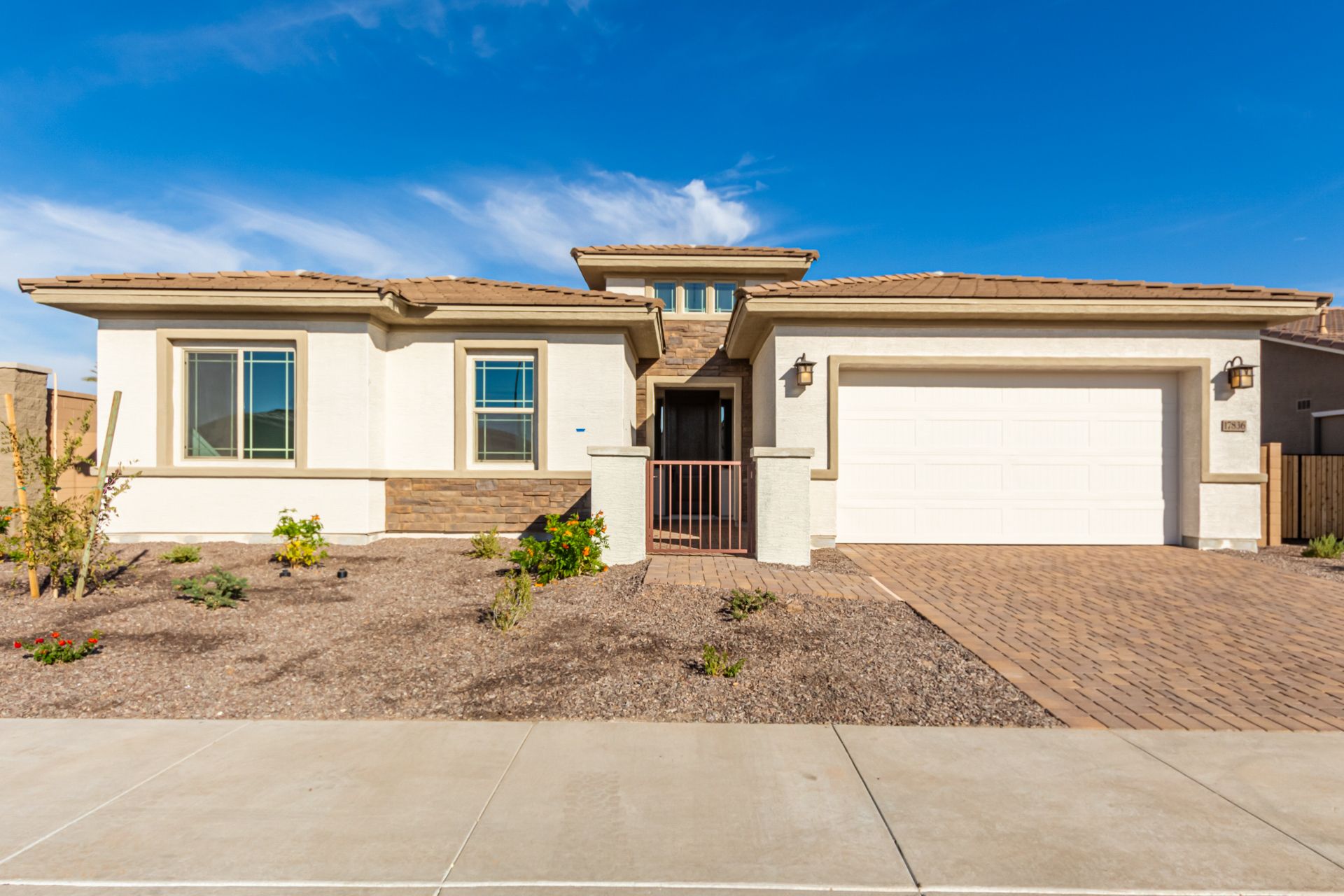 Allen Ranches Expedition Collection in Litchfield Park, AZ | New Homes ...
